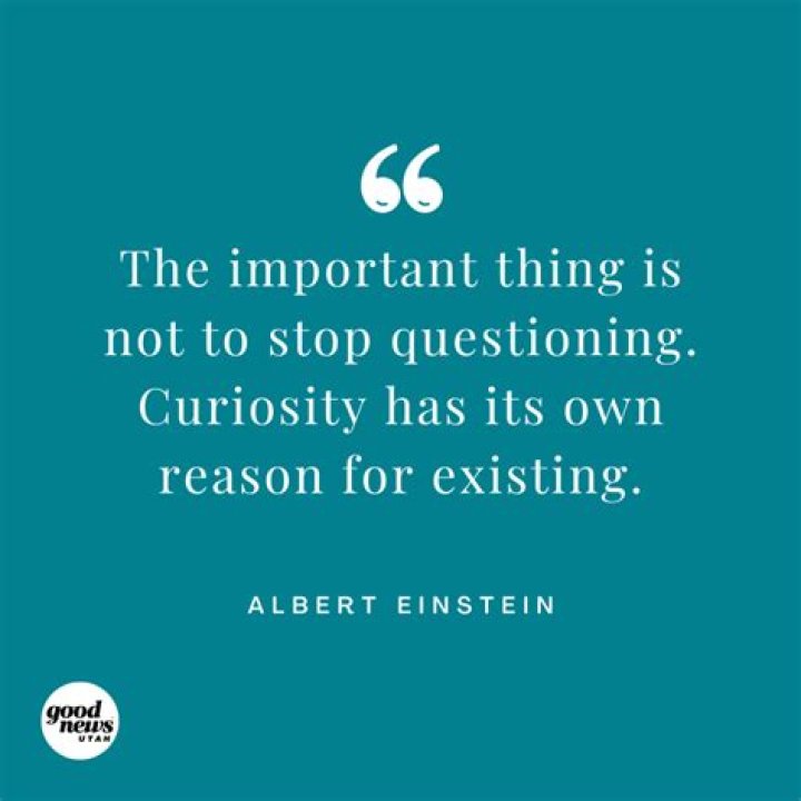 Curious Quotes: A Funny And Thought-Provoking Collection - Ucore Asaan ...